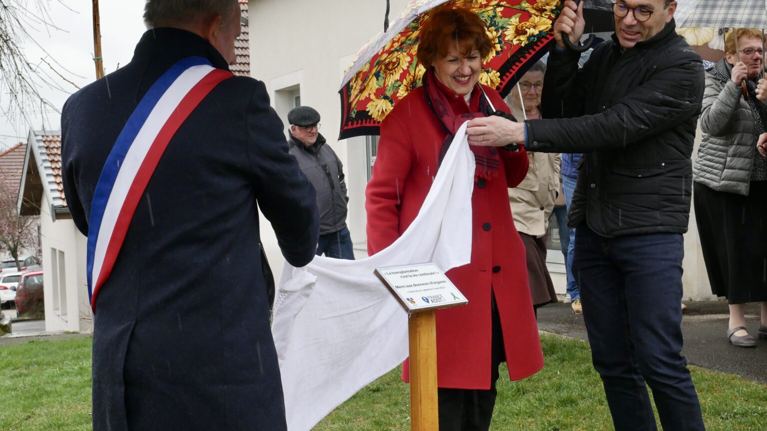 Un 1er Arbre de vie dans le Doubs - France Adot